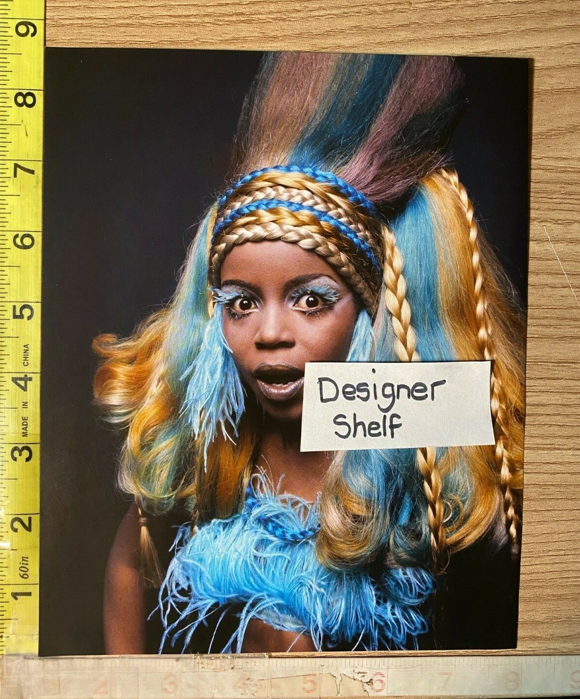 PP Arnold Musician 2006 Book Photo Photograph: Braids & Feathers Scene ...