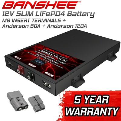 12 Volt 100 Amp Hour Deep Cycle Lithium Car Audio Battery/Power Cell | eBay