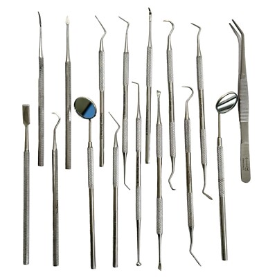 Dental Scaler Set of 16 Piece With Mouth Mirrors, Tweezers, Probe ...