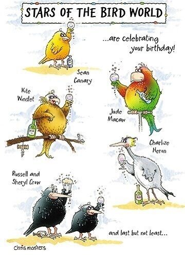 Memes With Birds