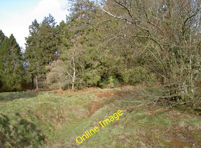 Photo 12x8 Gruffy ground East Harptree The area of land that used to be ...