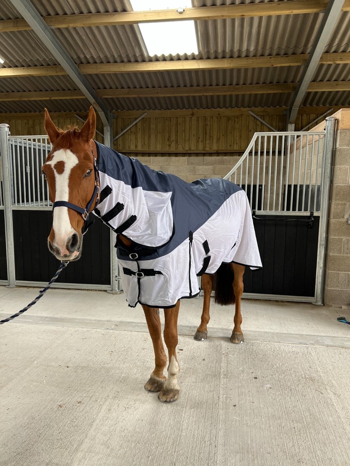 NEW Waterproof Fly Rug 600d Hybrid Turnout Rug Lightweight Combo Mesh 4 ...