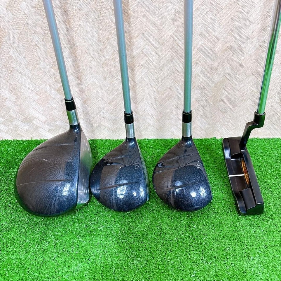 Taylormade Club Set 1W 3W 5W 5-9i Pw Aw Sw PT 12pc RH Graphite Regular ...