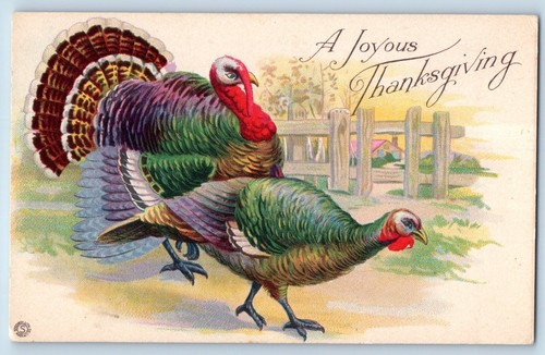 Thanksgiving Postcard Turkeys In Fence Embossed c1910's Unposted ...