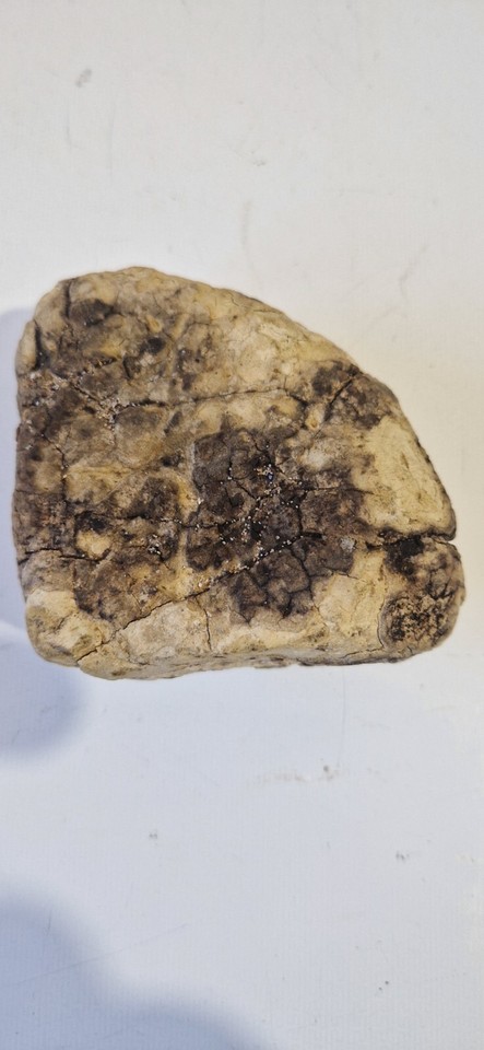 Ambergris. Real ambergris 205gr. Tested. Found in Scotland | eBay UK
