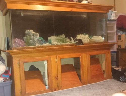 fish tank | eBay