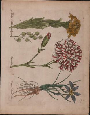 Gorgeous Vintage Antique 1814 Herb Herbal Flowers Plants Botany Book ...