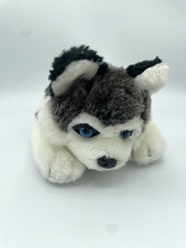 Plushland Husky Plush Blue Eyes Wolf Stuffed Animal 9" | eBay