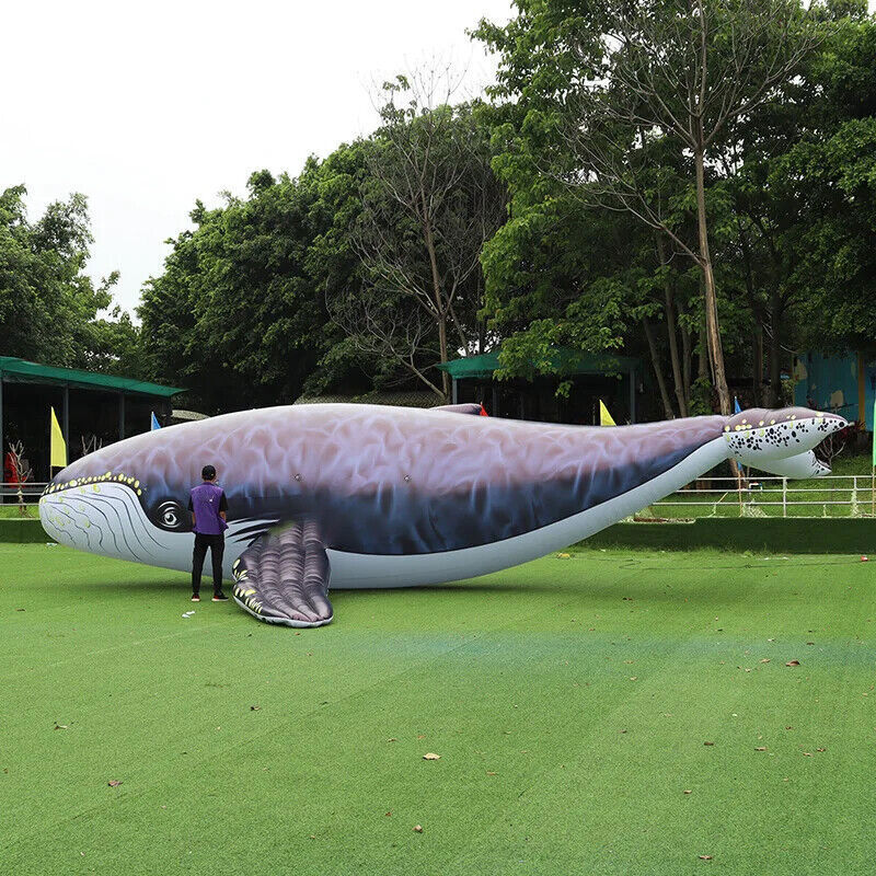 Giant Inflatable Whale Inflatable Orca Sale Humpback Whale Toys for ...