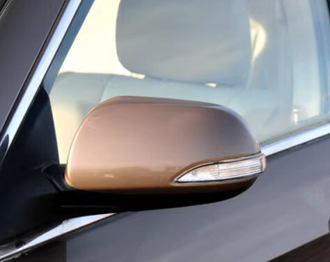 Side View Mirror Assembly 9 Pins Manual Folding Left Dark Gold For 11 ...