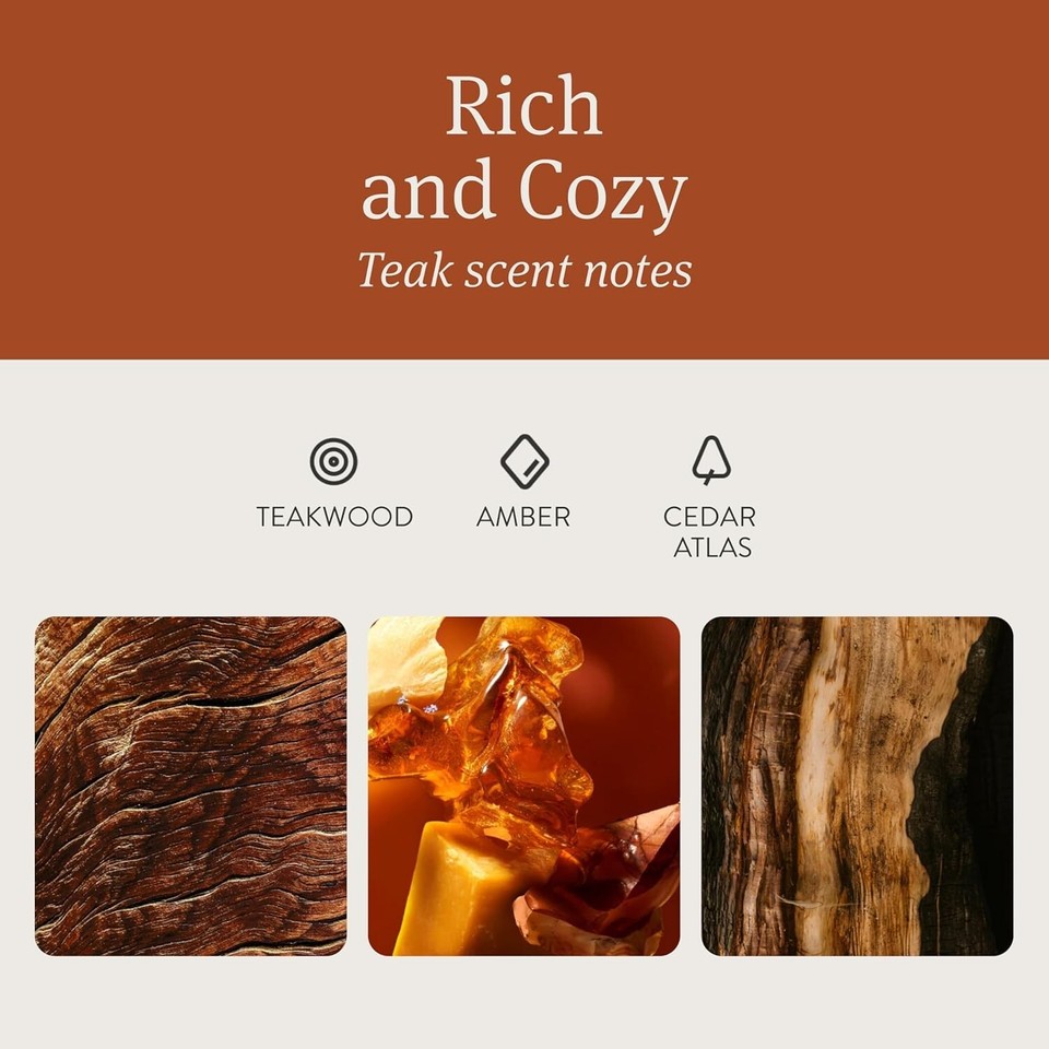 Teak Wood Car Air Freshener Kit – Long Lasting Clip-On Visor Scent ...