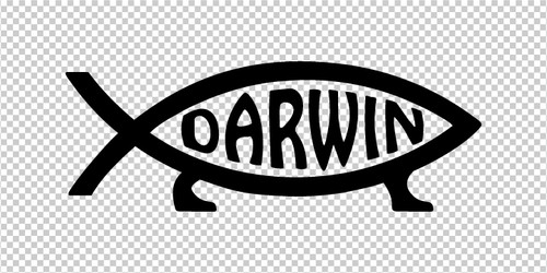 DARWIN FISH SYMBOL VINYL DIE CUT STICKER | eBay