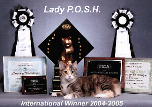 Lady Posh Estate | eBay Stores