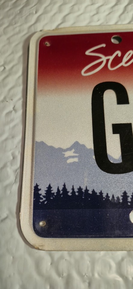 Vintage Idaho Vanity/Personalized License Plate. "GOT RED". GREAT ...