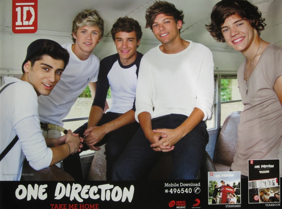 One Direction Poster Take Me Home