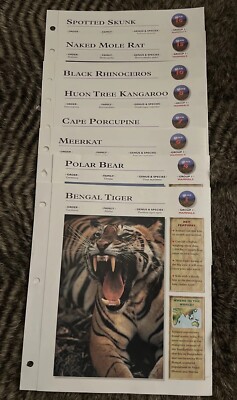 Set Of 8 - 1998 Wildlife Explorer Fold-out Binder Cards Group 1 Mammals ...