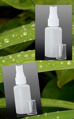 Praying Mantis Stick Insect,Mini Mist Spray Bottle x 2 Keep Leaves ...