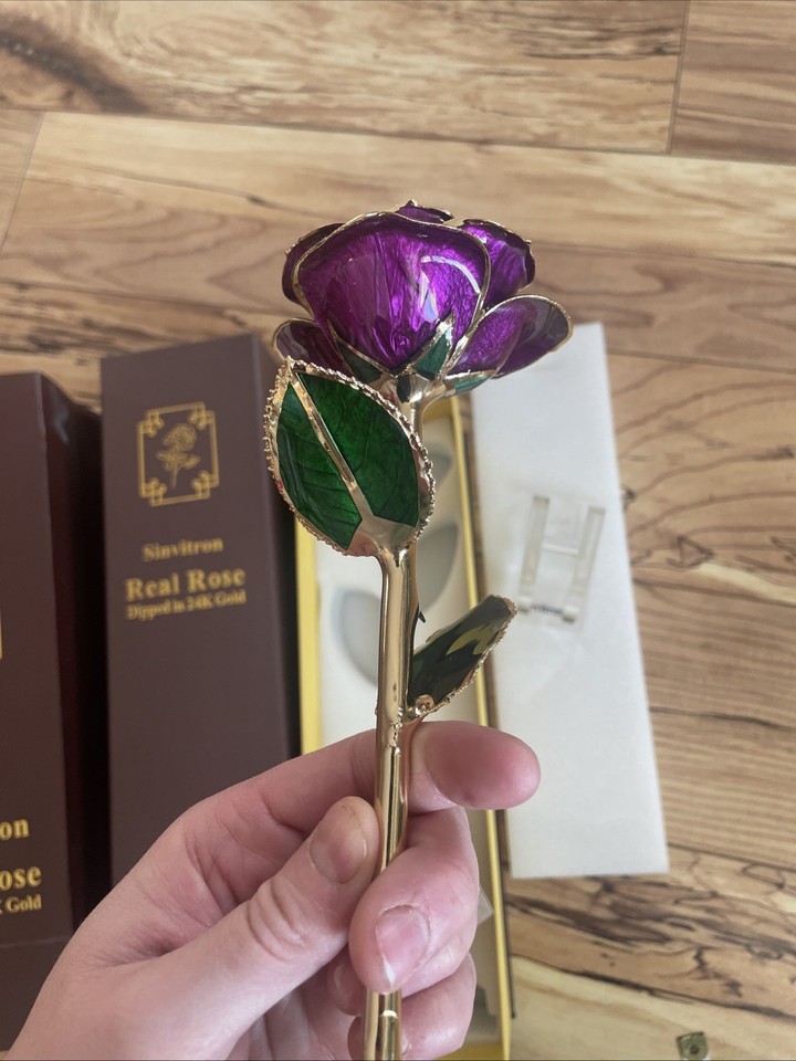 Gold Dipped Infinity Rose Forever Flower Decor, Resin Preserved Real ...
