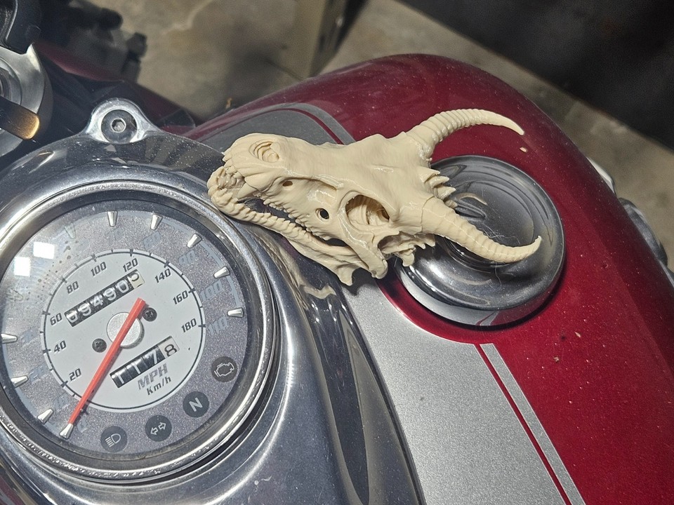 small Dragon head skull bone color mystical animal fantasy gift sharp ...