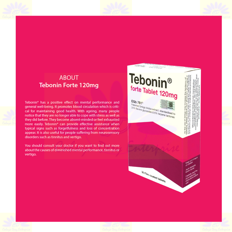 1 X Tebonin Forte 120mg 30'S Ginkgo Biloba Extract For Vertigo ...
