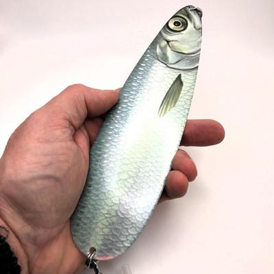 St. Pete Heavy Duty Saltwater Flutter Spoons for Stripers, and other ...