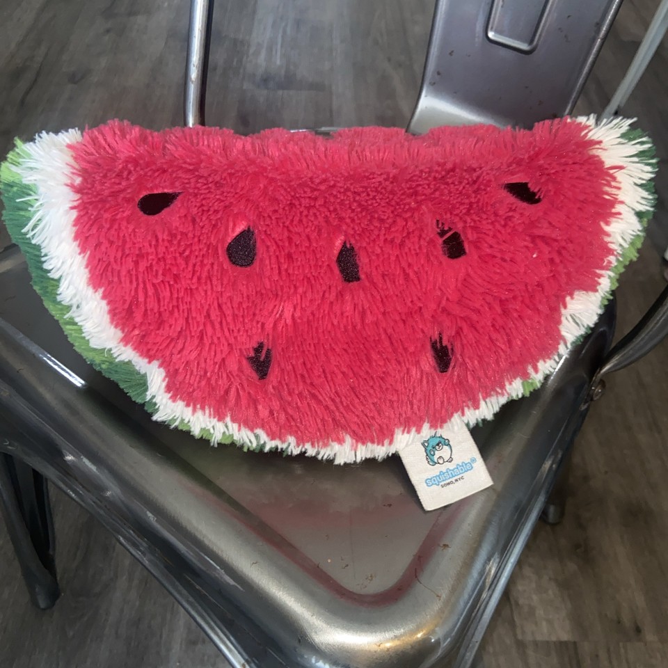 Squishable Plush Watermelon Stuffed Fruit Toy Pretend EUC Comfort Food | eBay