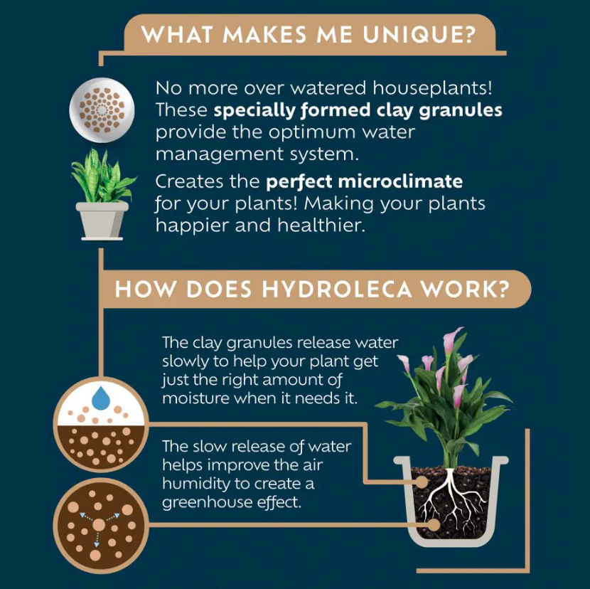 Westland Hydroleca Clay Granules 10L | eBay UK