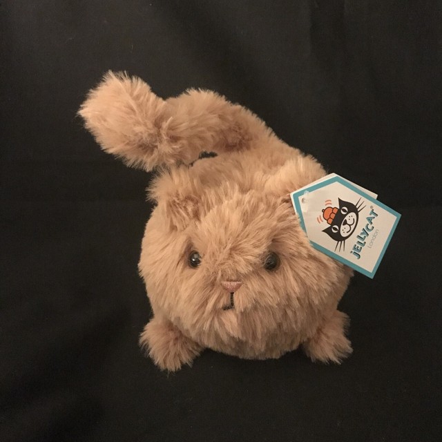 Jellycat Ginger Kitten Caboodle Plush Cat Kitty Lovey Stuffed Toy for ...