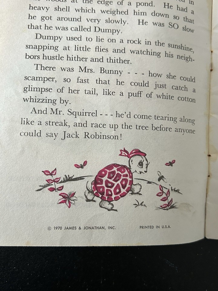 Vintage 1970 Dumpy Book Lucy MacDonald Sunny Books PB Fair | eBay