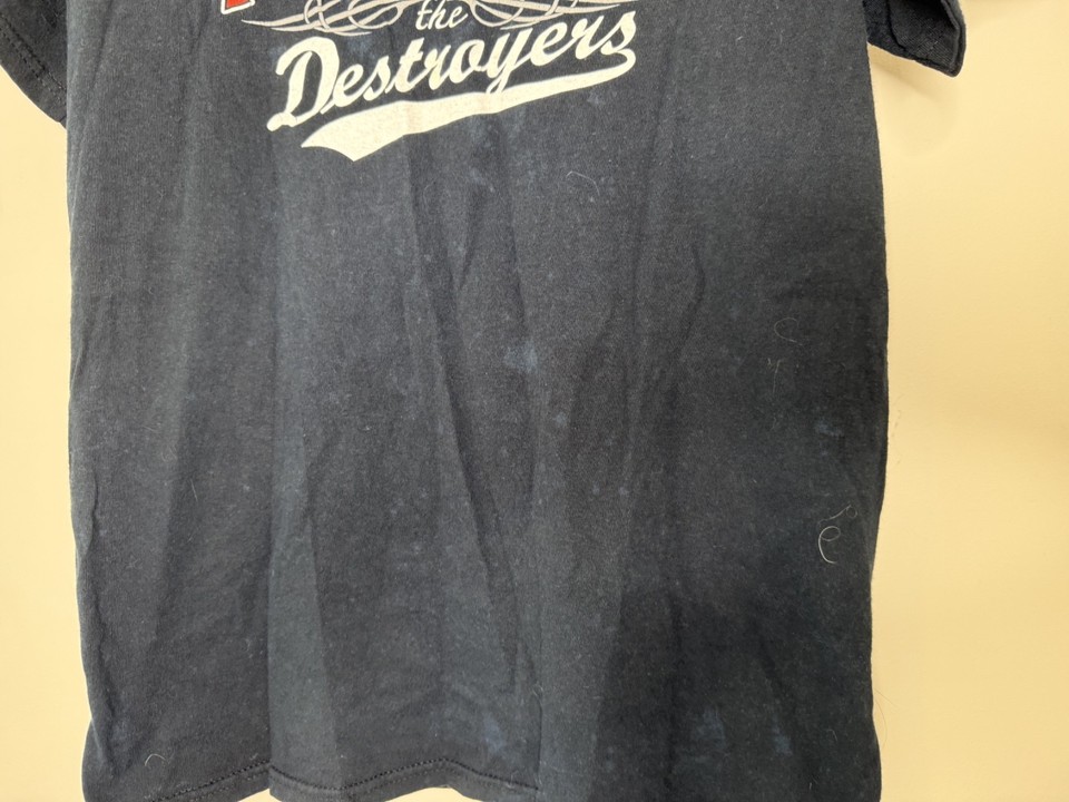 George Thorogood and the Destroyers Band T-Shirt – Gildan Heavy Cotton ...