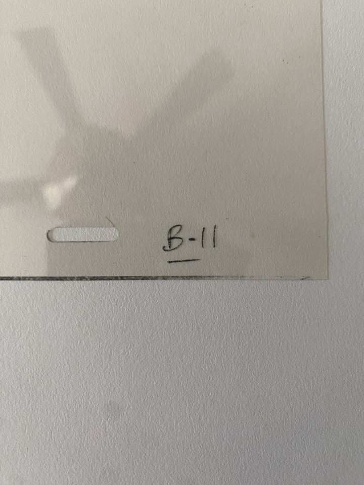 Honey Nut Cheerios Bee Cel Animation Vintage | eBay