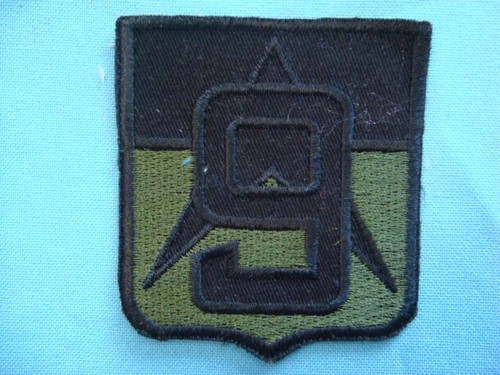 VIETNAM WAR SUBDUED PATCH, ARVN 9th INFANTRY DIVISION | eBay