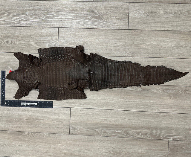 Brown Genuine Caiman Crocodile belly Hide Leather Skin real alligator ...
