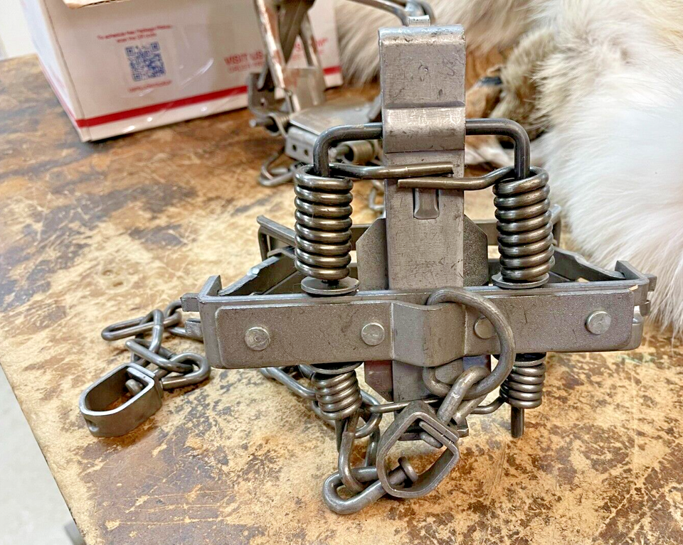 5 Duke #2 Square Jaw Coil Spring Trap Coyote Bobcat, Laminated Offset ...