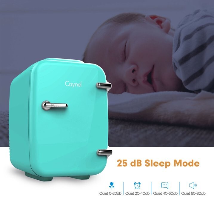 Caynel Portable Thermoelectric 4 Liter Beauty Mini Fridge Cooler or ...