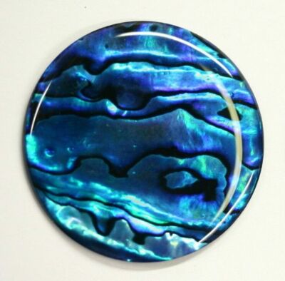 15mm Natural Paua Shell Blue Calibrated Round Cabochon Gemstones Gems ...