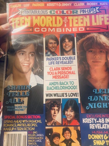 1978 June Teen World / Life Magazine Shaun Cassidy Leif Garrett Pin Up ...