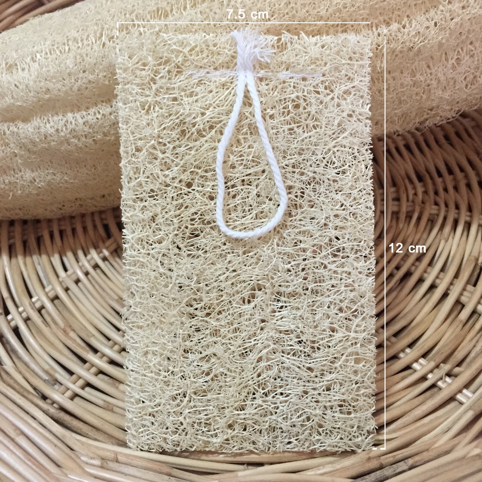6 Loofah Luffa Natural Sponge Body Wash Bath Shower Cleansing&Spa ...