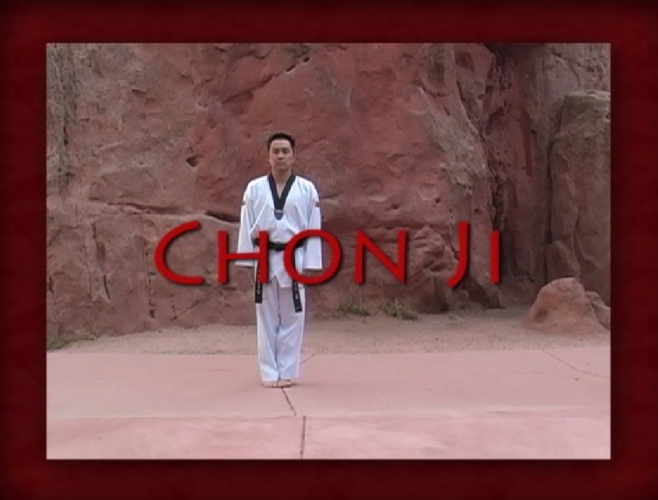 TaeKwondo ITF Forms on DVD, Tae Kwon Do, See Video | eBay