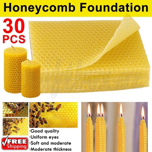 30pcs Waxing Beekeeping Equipment Sheet Honeycomb Foundation Bee Hive ...