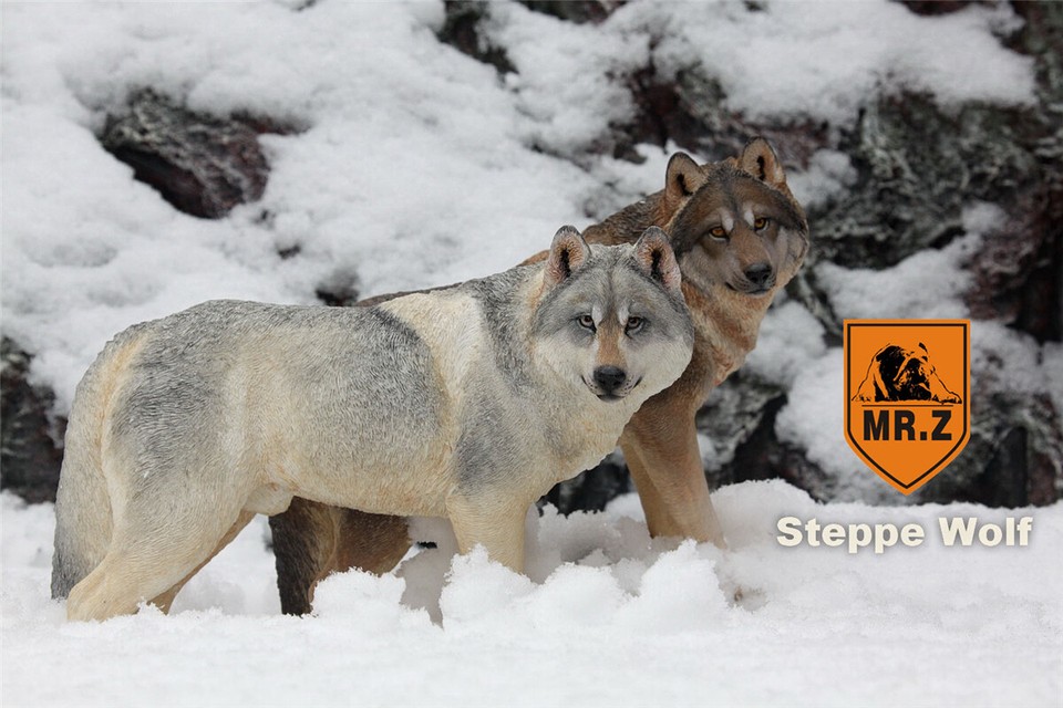 Mr.Z 1:6 Scale Steppe Wolf Model Wild Animal Figure Toy Collection ...