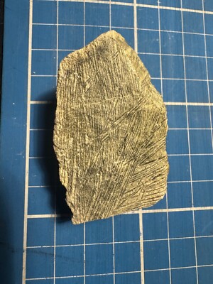 Komatiite. Ancient Mantle Rock, Central Goldfields, West Australia. | eBay