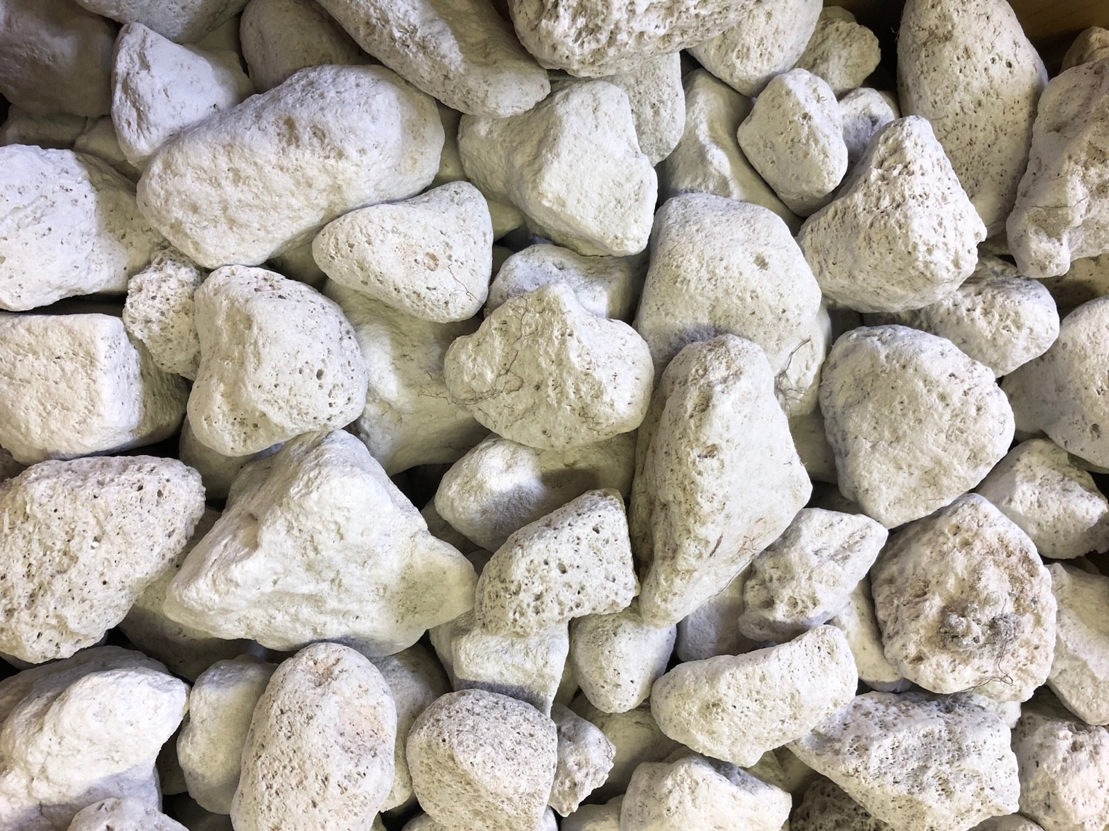 1 gal Premium Quality Pumice Filter Media for Koi Pond, Bakki Shower ...