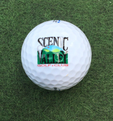 Scenic Valley Golf And Club (Finleyville, PA) Logo Golf Ball | eBay
