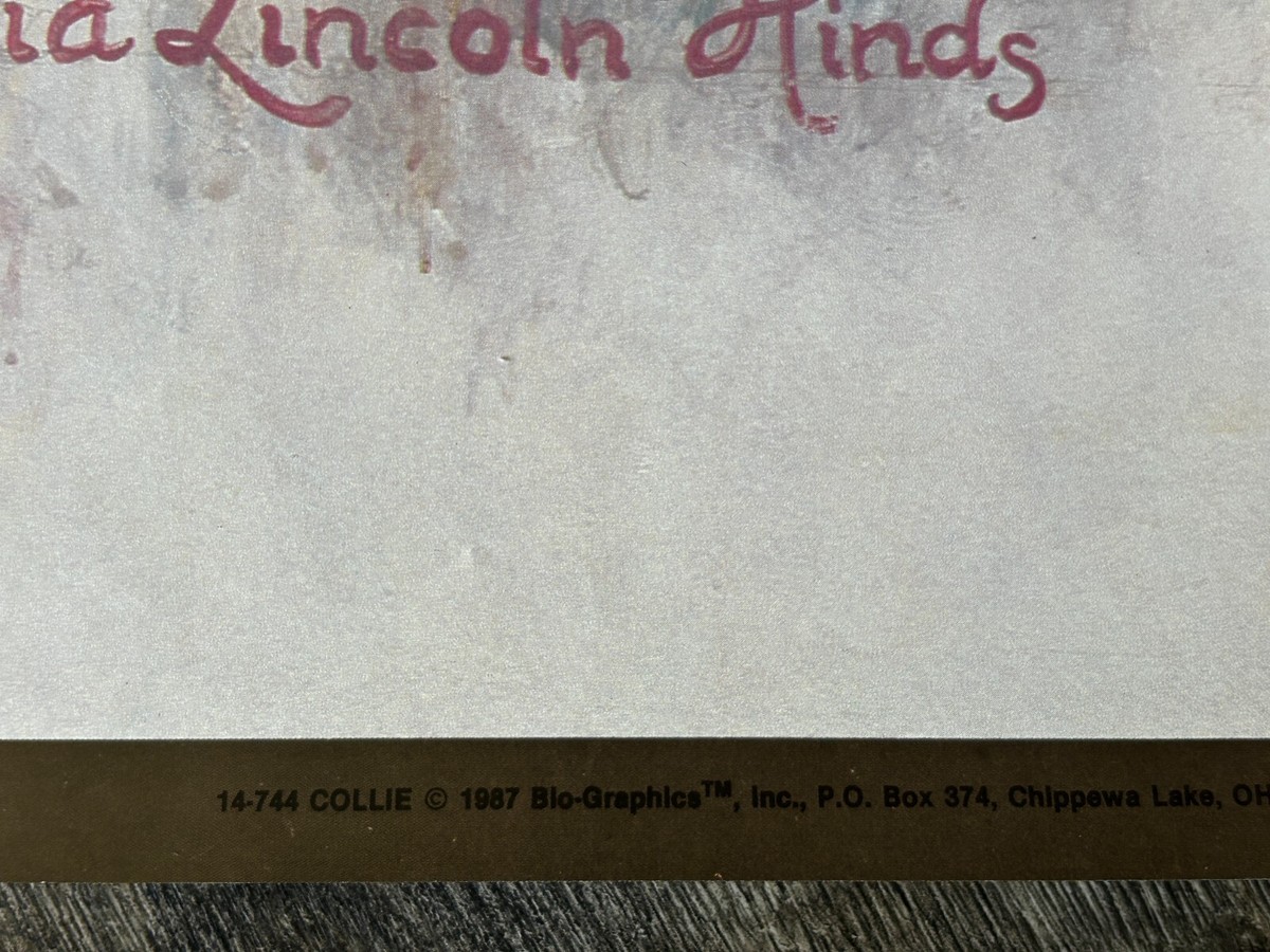 Cindy Margolis Rocky Maivia WWF/WWE 1973 Present | BetheBooker