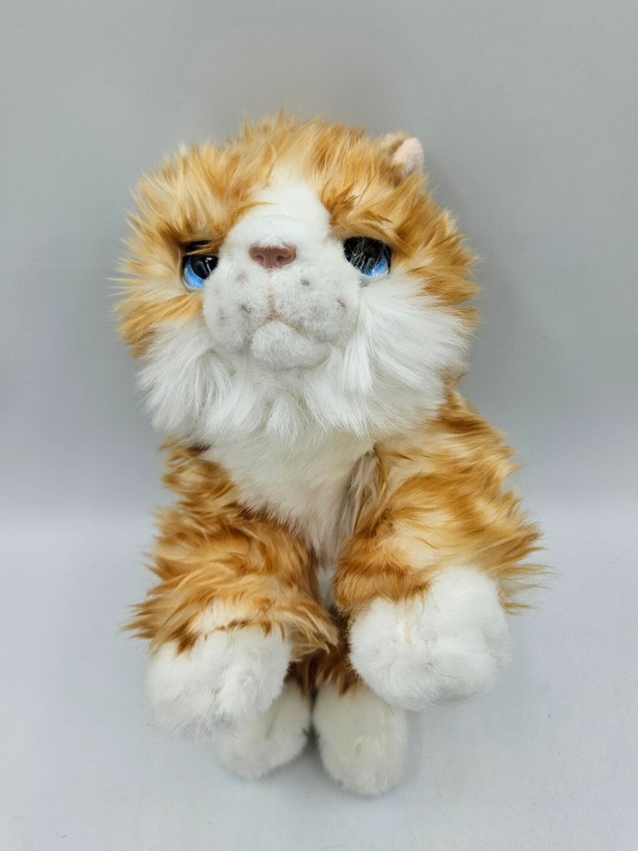 Keel deals Signature Cuddle Kittens