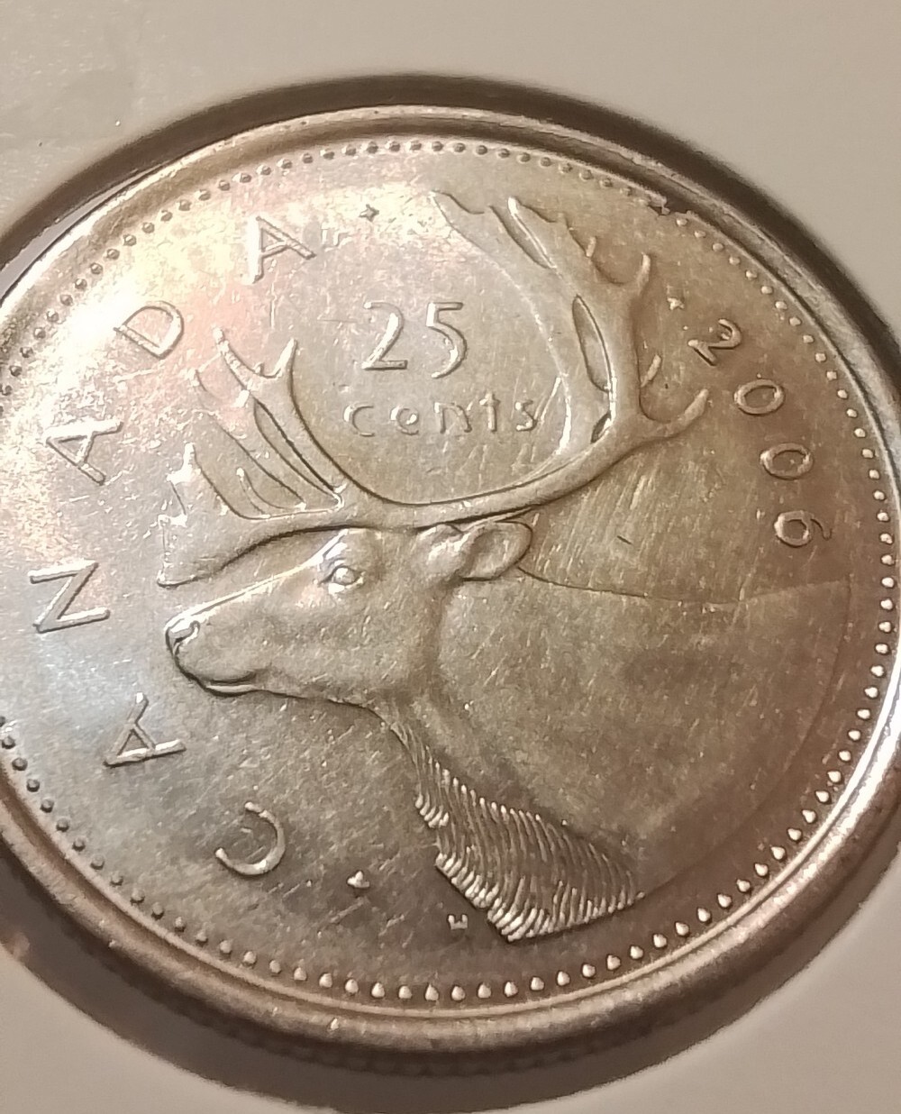 2006 Canadian Quarter Ooi144 | eBay
