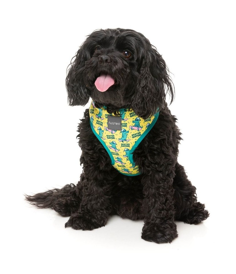 NEW! SK8TER GATOR DOG CAT HARNESS ALLIGATOR SKATEBOARD PREMIUM VEST | eBay