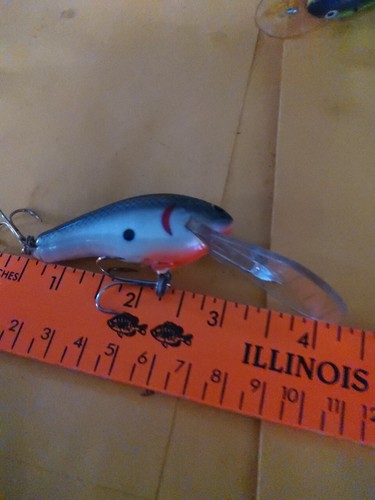 Bagleys Deep Wee White Black Orange Belly | eBay