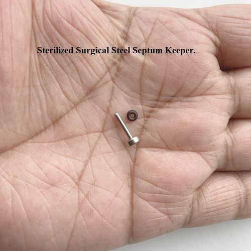 Surgical Steel 14 gauge 10 mm Length with Rubber Band SEPTUM KEEPER. | eBay